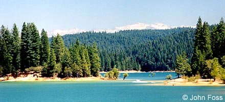 California Mountain Unicycle Weekend - Sly Park Photos